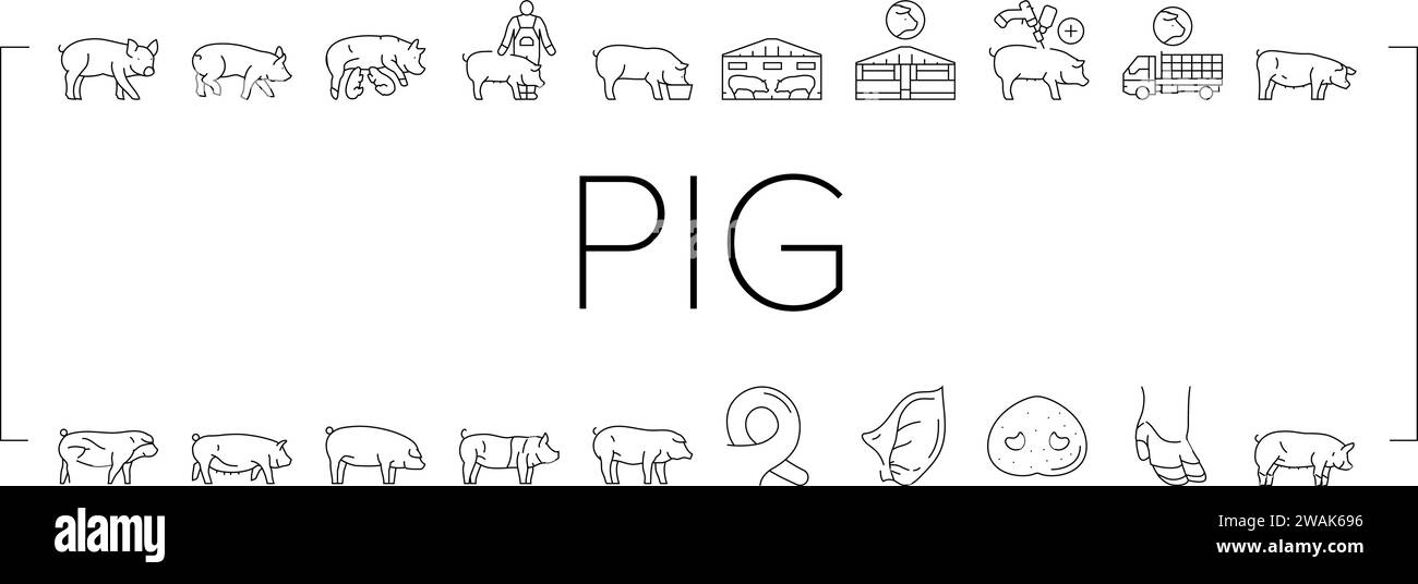 pork pig farm animal piglet hog icons set vector Stock Vector Image ...