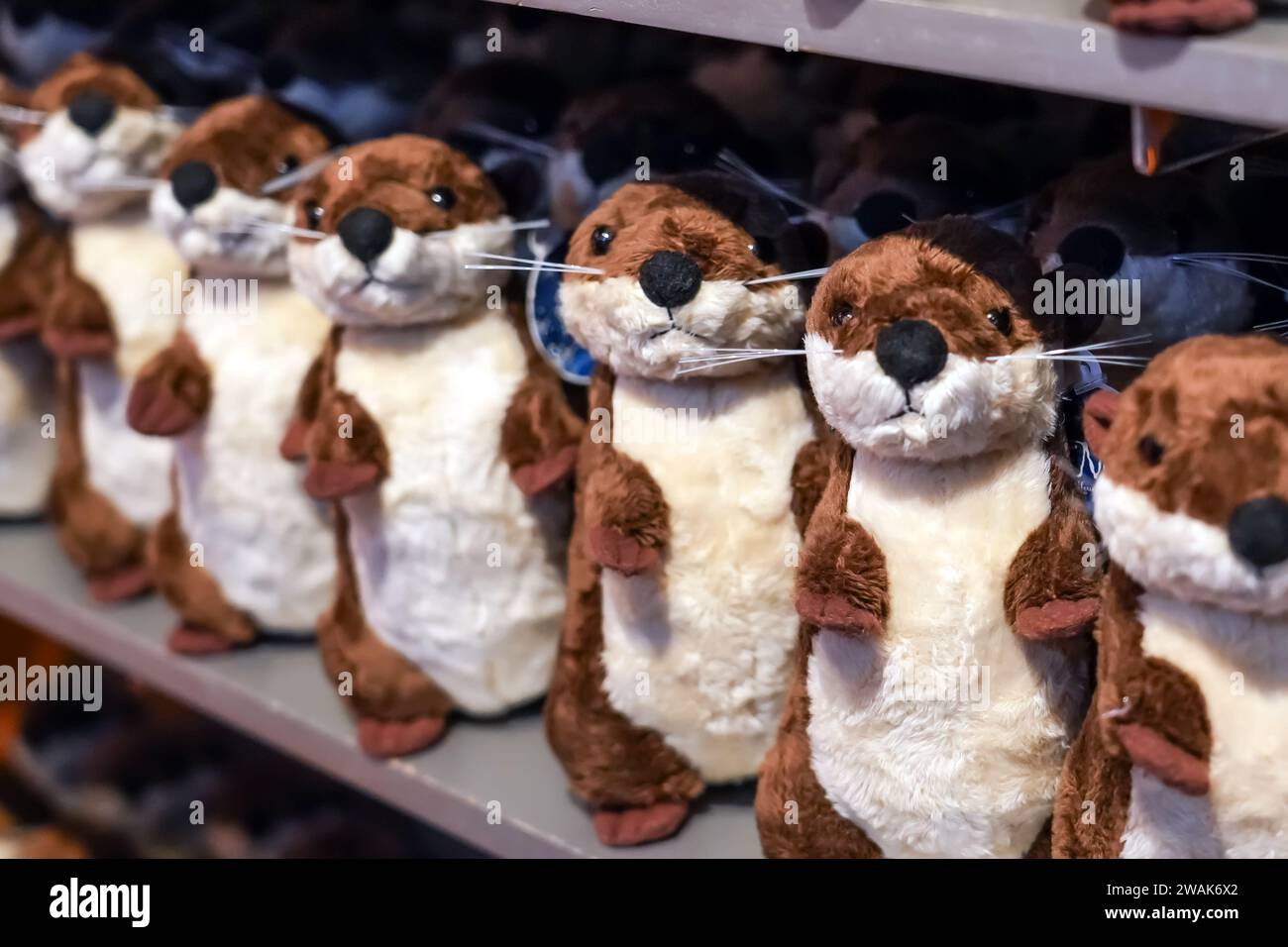 Many cute toy otters in the toy store Stock Photo - Alamy
