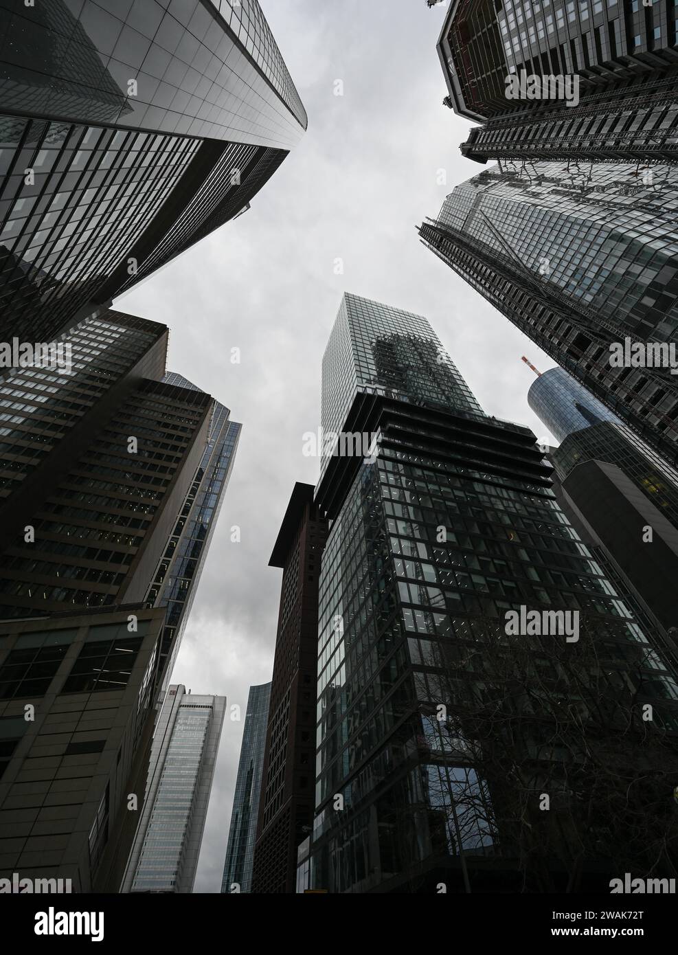 05 January 2024, Hesse, Frankfurt/Main: The densely packed high-rises ...