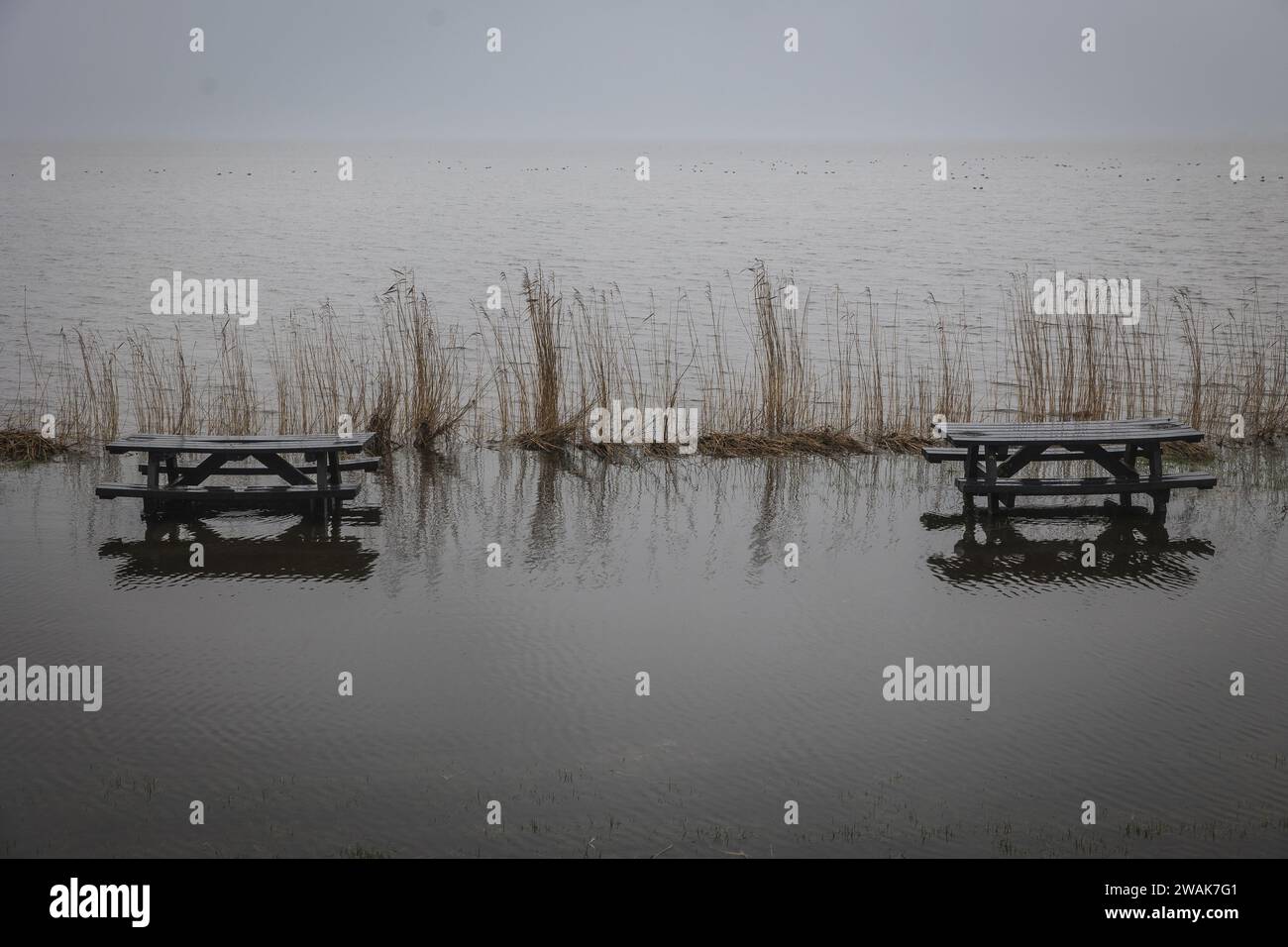 MARKEN - A high water level in the Markermeer. Because the lakes are ...