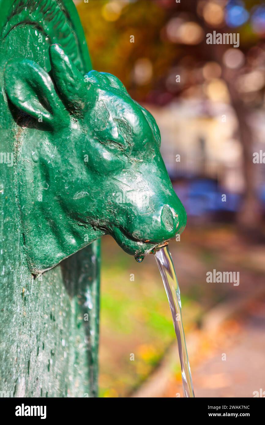 Water fountain in the park featuring a sculpted cow head intricately ...