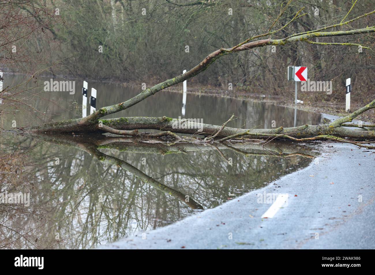 Baum Fallen Privatgrundstuck Niedersachsen