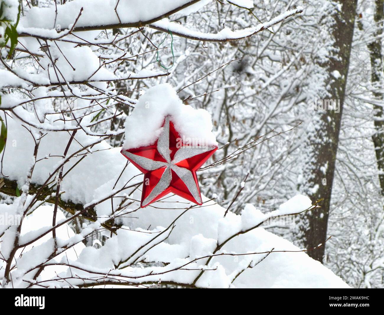 Hanging christmas star ornaments hi-res stock photography and images ...