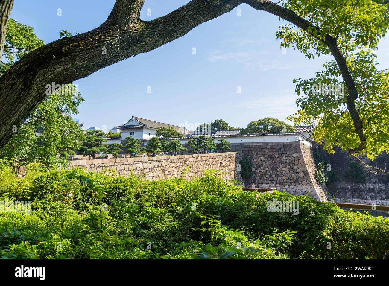 Osaka, Japan: August 20, 2020: Ancient Samurai Castle of Himeji, or ...