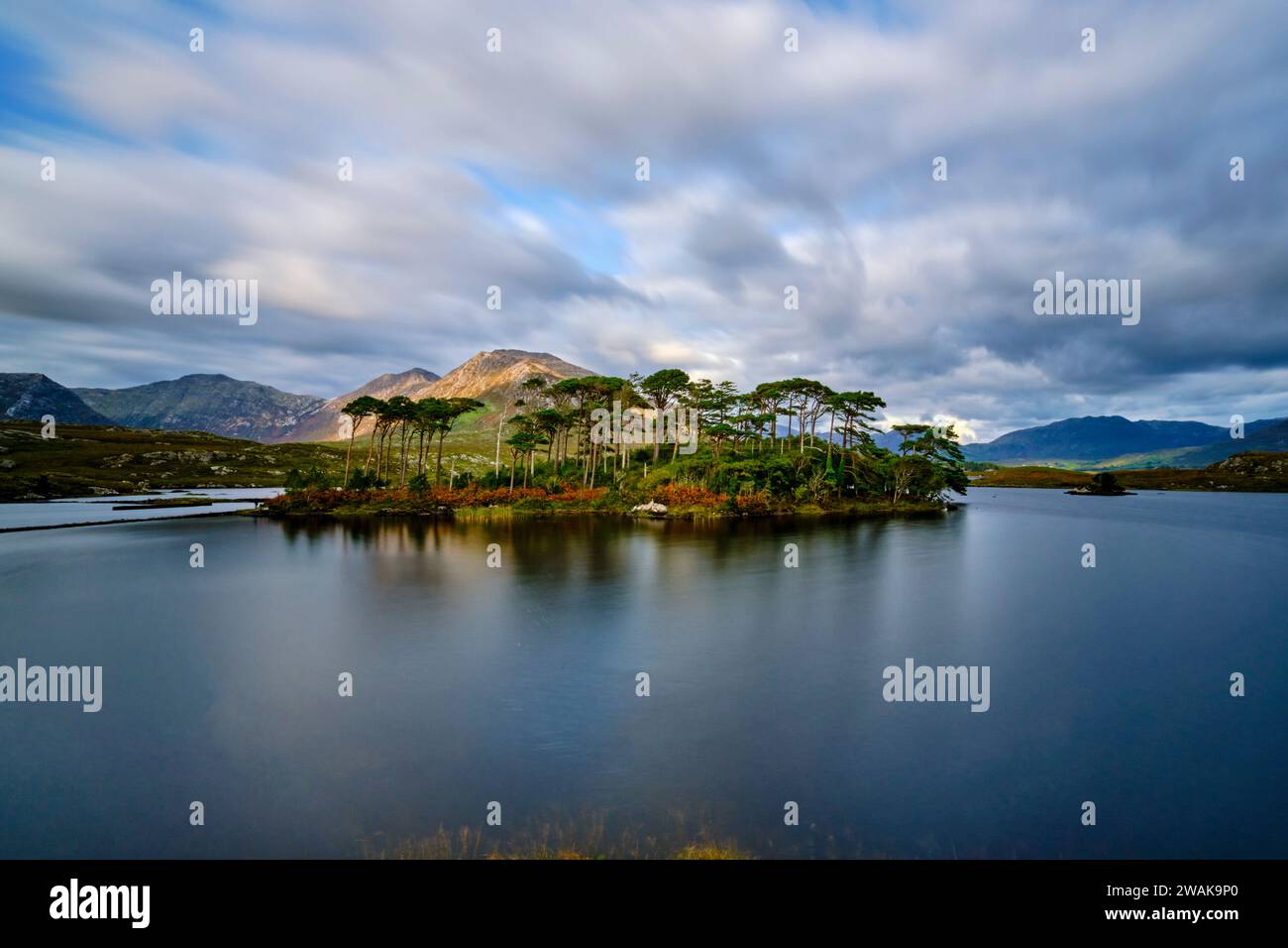 Republic of Ireland, County Galway, Connemara National Park, an island ...