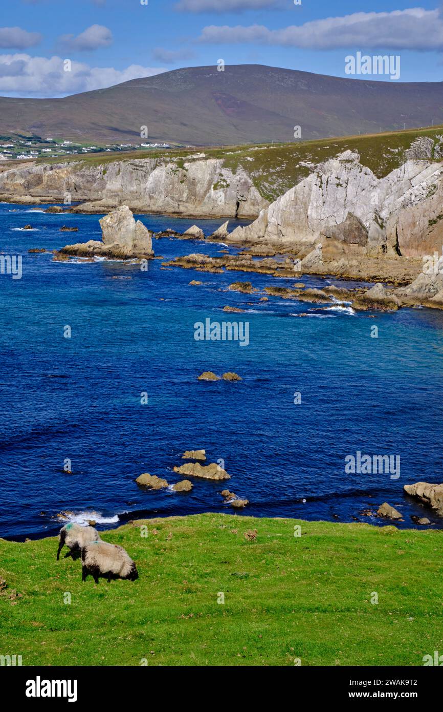 Republic of Ireland, Mayo county, Achill Island, Coastline on Atlantic ...