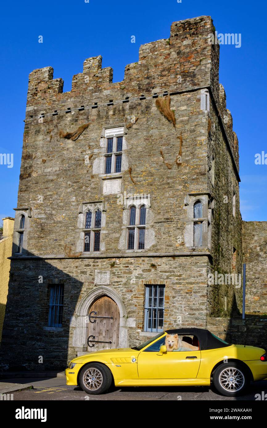 Desmond castle cork hi-res stock photography and images - Alamy