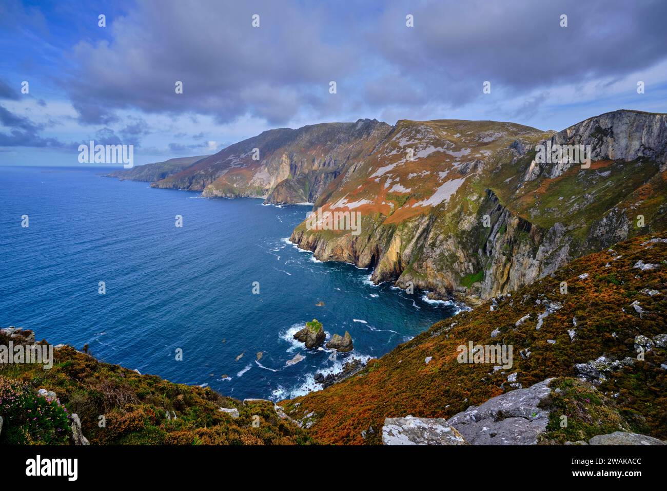 Ireland, County Donegal, Teelin, Slieve League, sea cliffs 600 meters ...