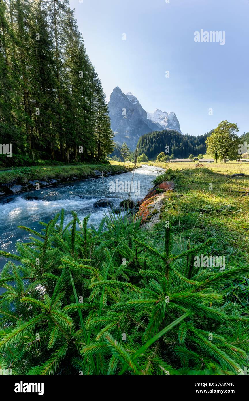 Rychenbach river hi-res stock photography and images - Alamy