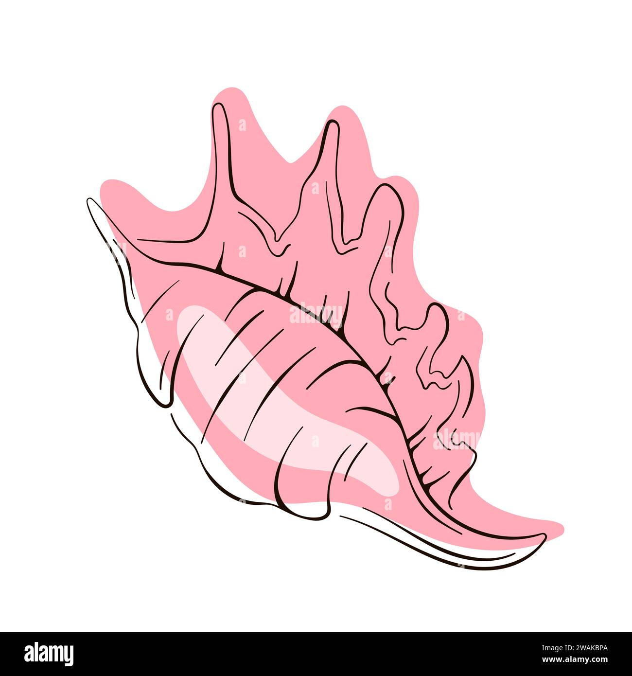 Silhouette of seashell in line art style. Summer shellfish undersea ...