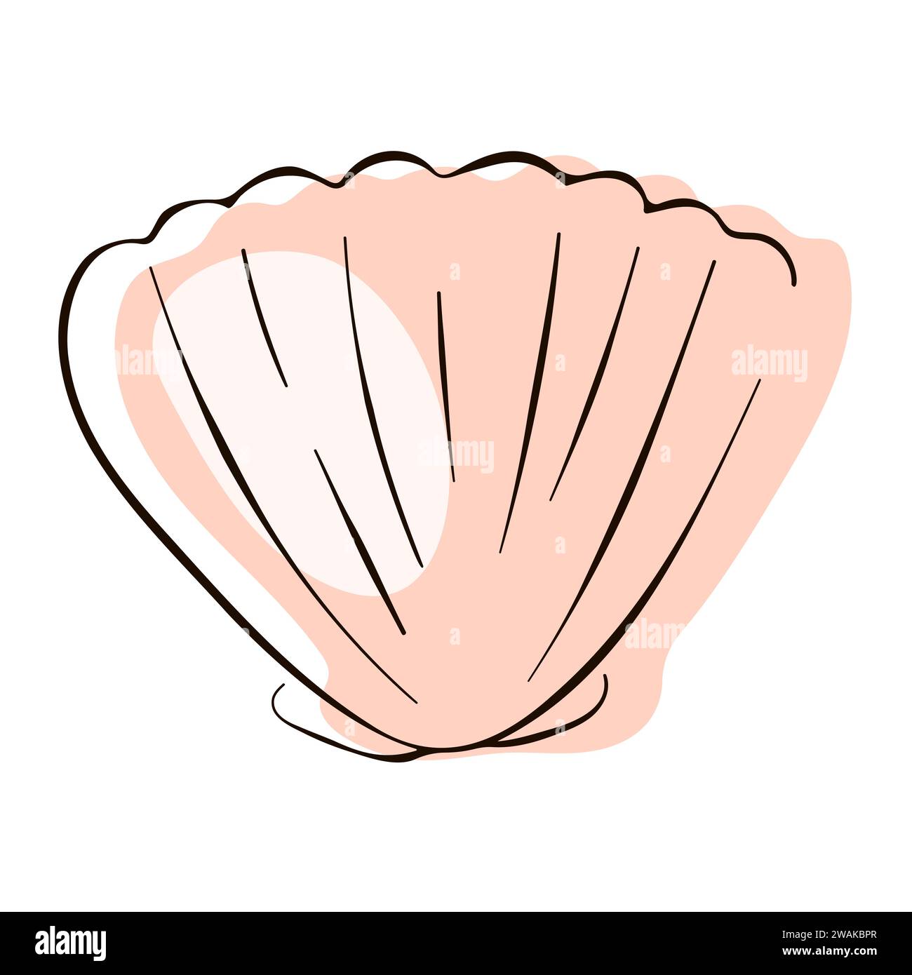 Scallop seashell logo in line art style. Shell underwater design for ...