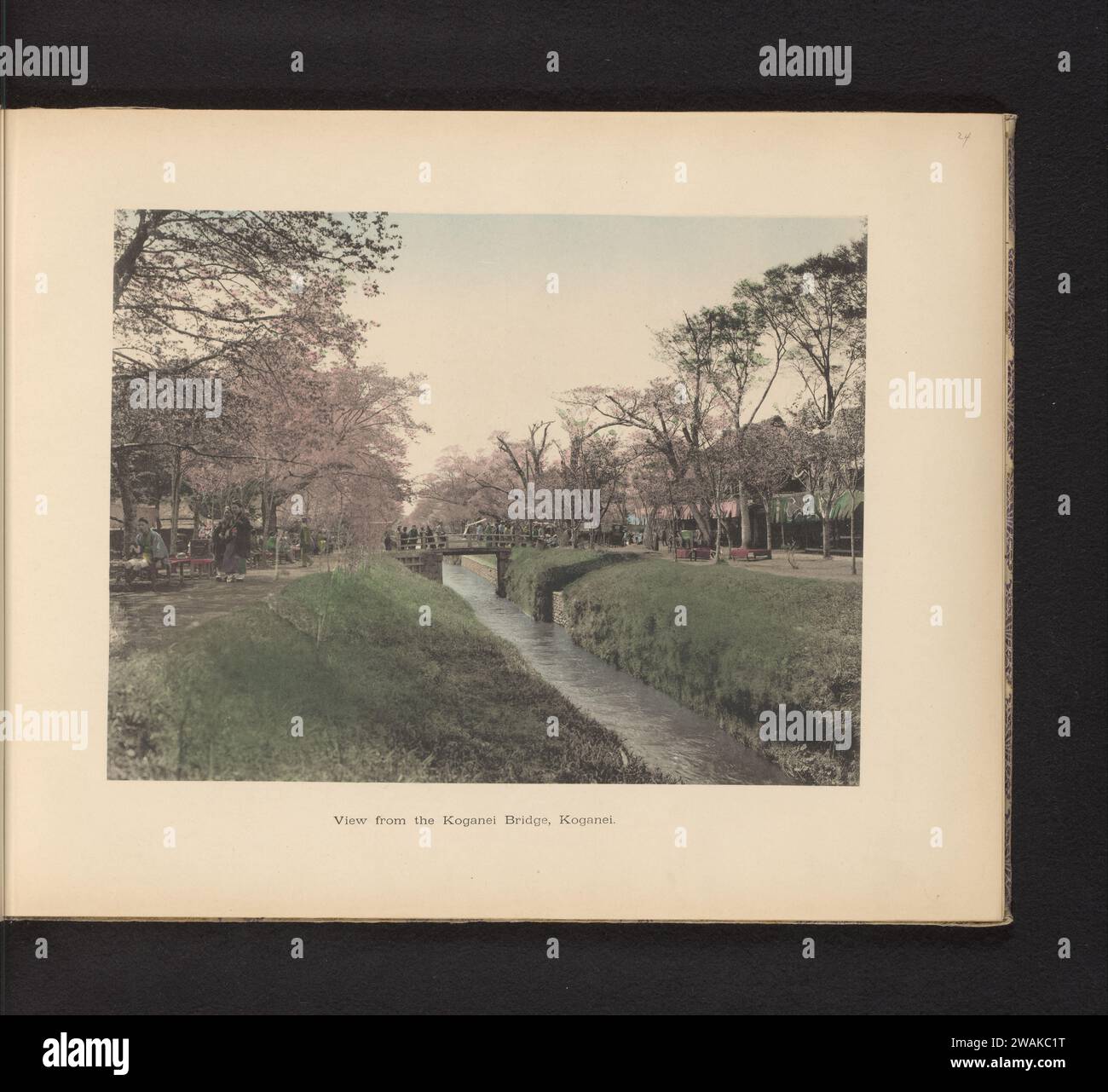 Shores of a ditch in Koganei, Japan, Kazumasa Ogawa, c. 1892 - in or ...