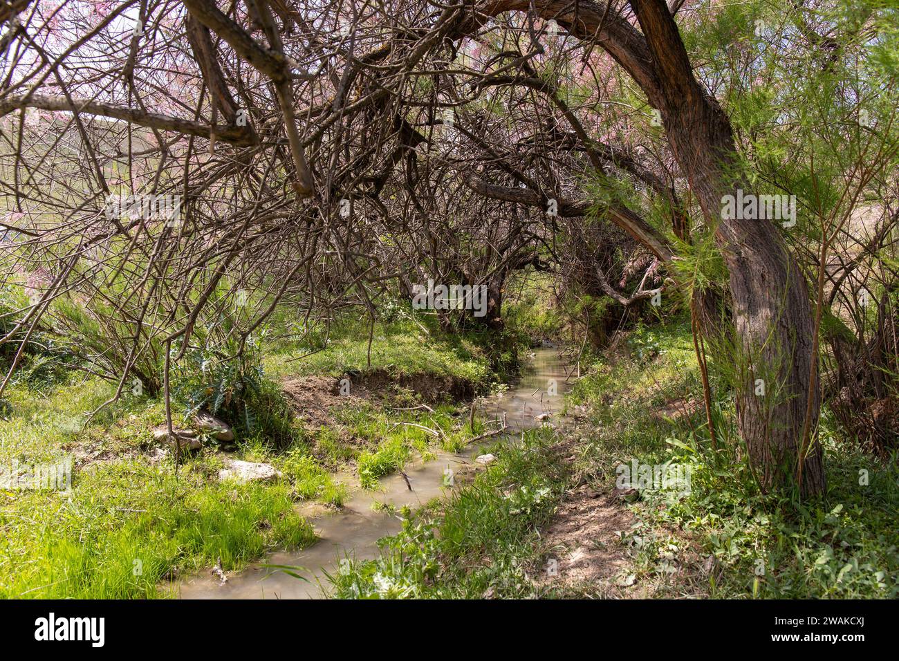 Small river flows hi-res stock photography and images - Alamy