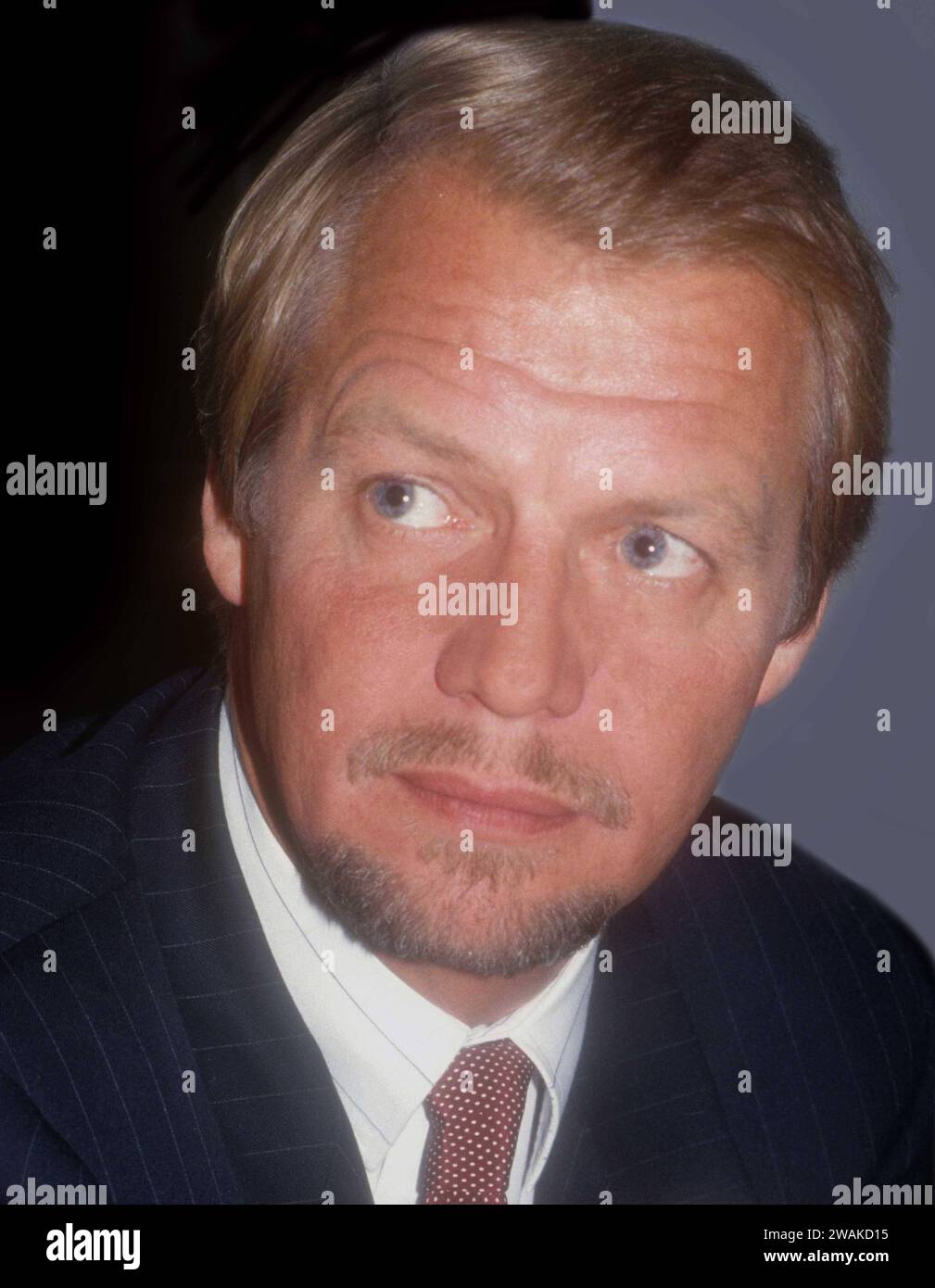 **FILE PHOTO** David Soul Has Passed Away. David Soul 1987 Photo By ...