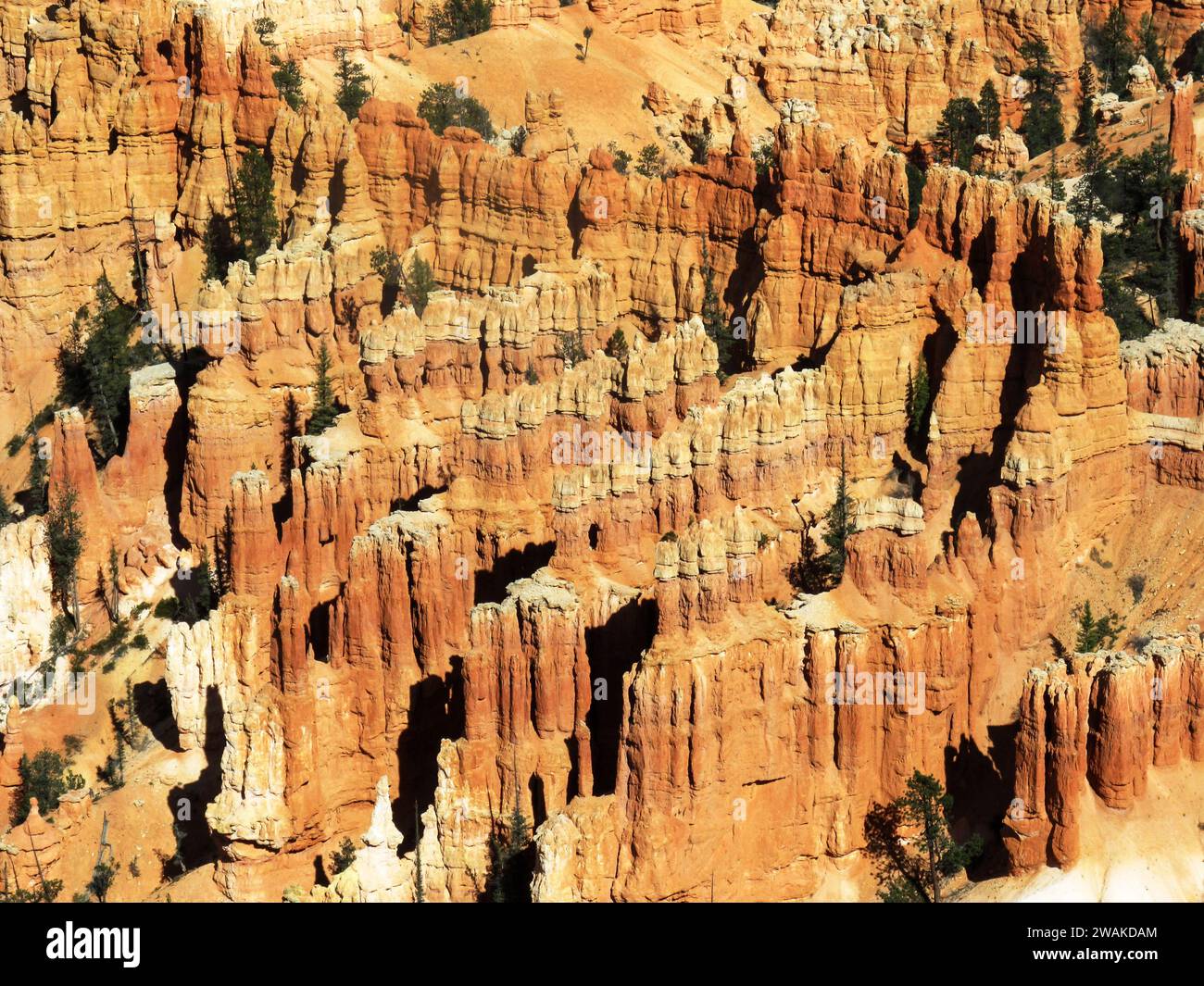 Looking out over the hoodoos hi-res stock photography and images - Alamy