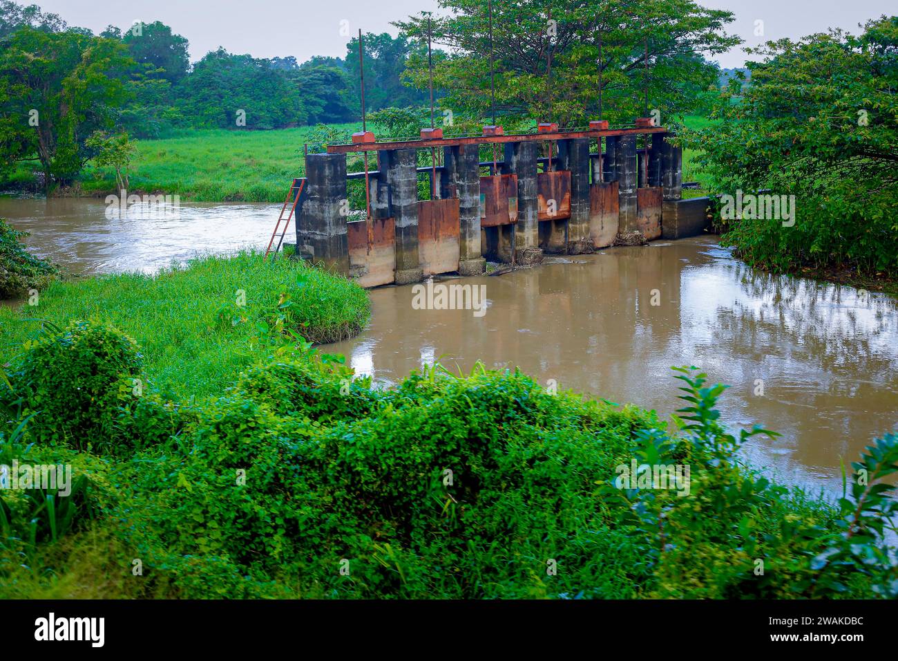 A dam was built in the middle of a small river which is still ...
