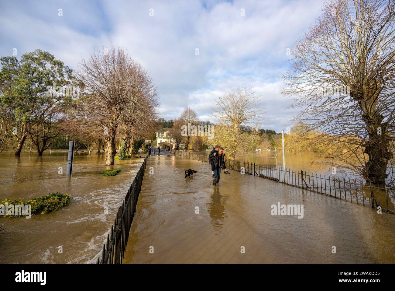 05.01.24. WEATHER SOMERSERT. Flooding at Bathampton near Bath in ...