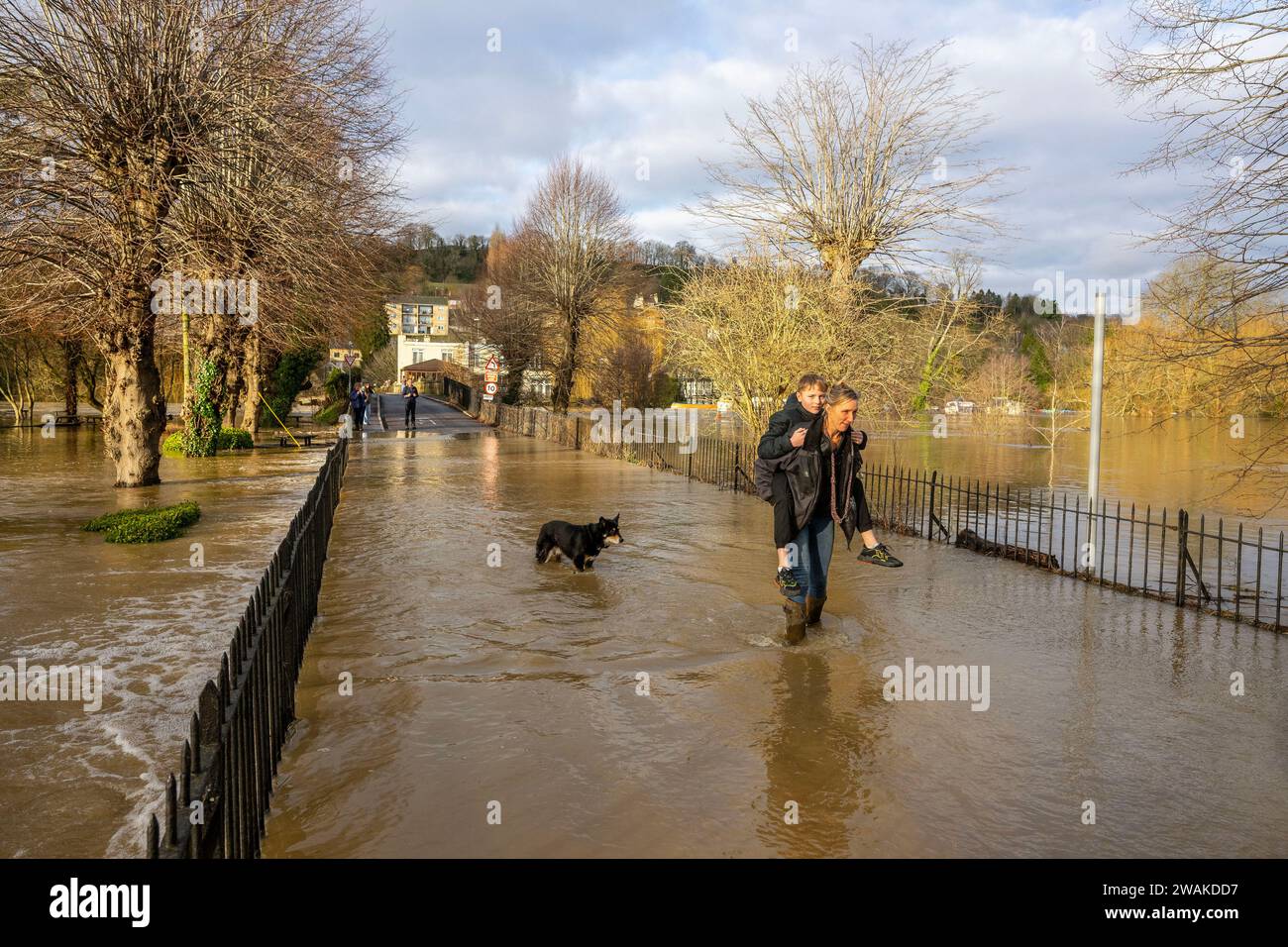 05.01.24. WEATHER SOMERSERT. Flooding at Bathampton near Bath in ...