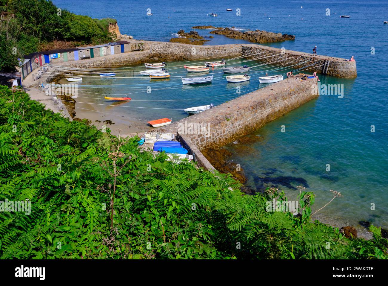 France, Normandy, Manche department, Cotentin, Cap de la Hague, Saint ...