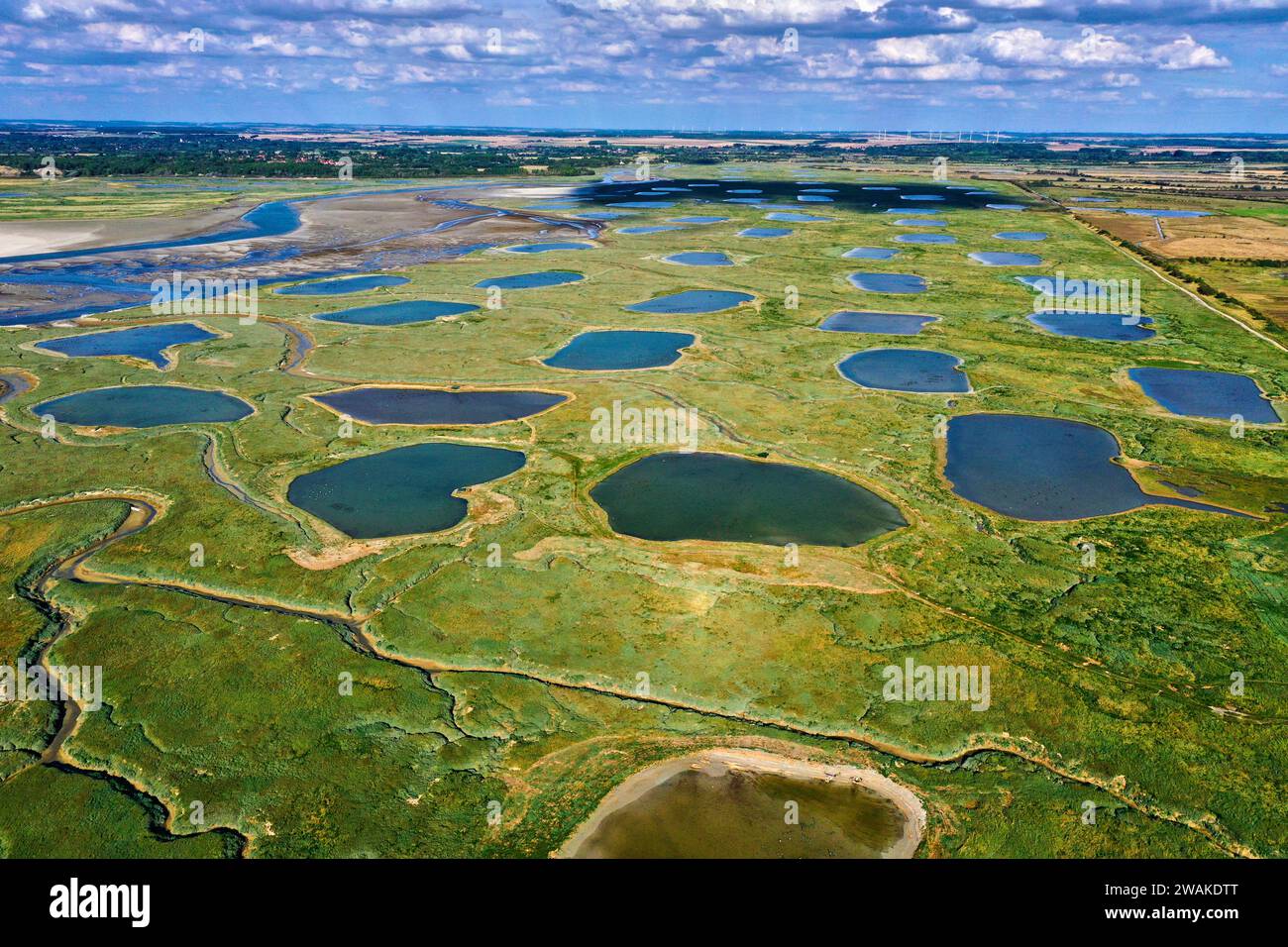 France, Somme, Baie d'Authie, Fort-Mahon, aerial view of the Baie d ...