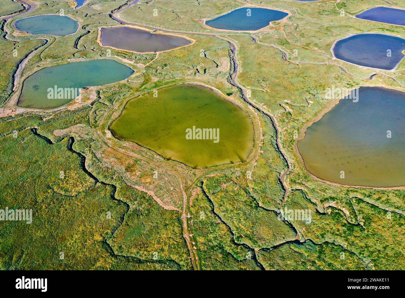 France, Somme, Baie d'Authie, Fort-Mahon, aerial view of the Baie d ...