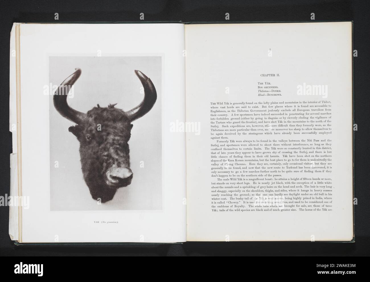 Photomechanical print paper hi-res stock photography and images - Alamy