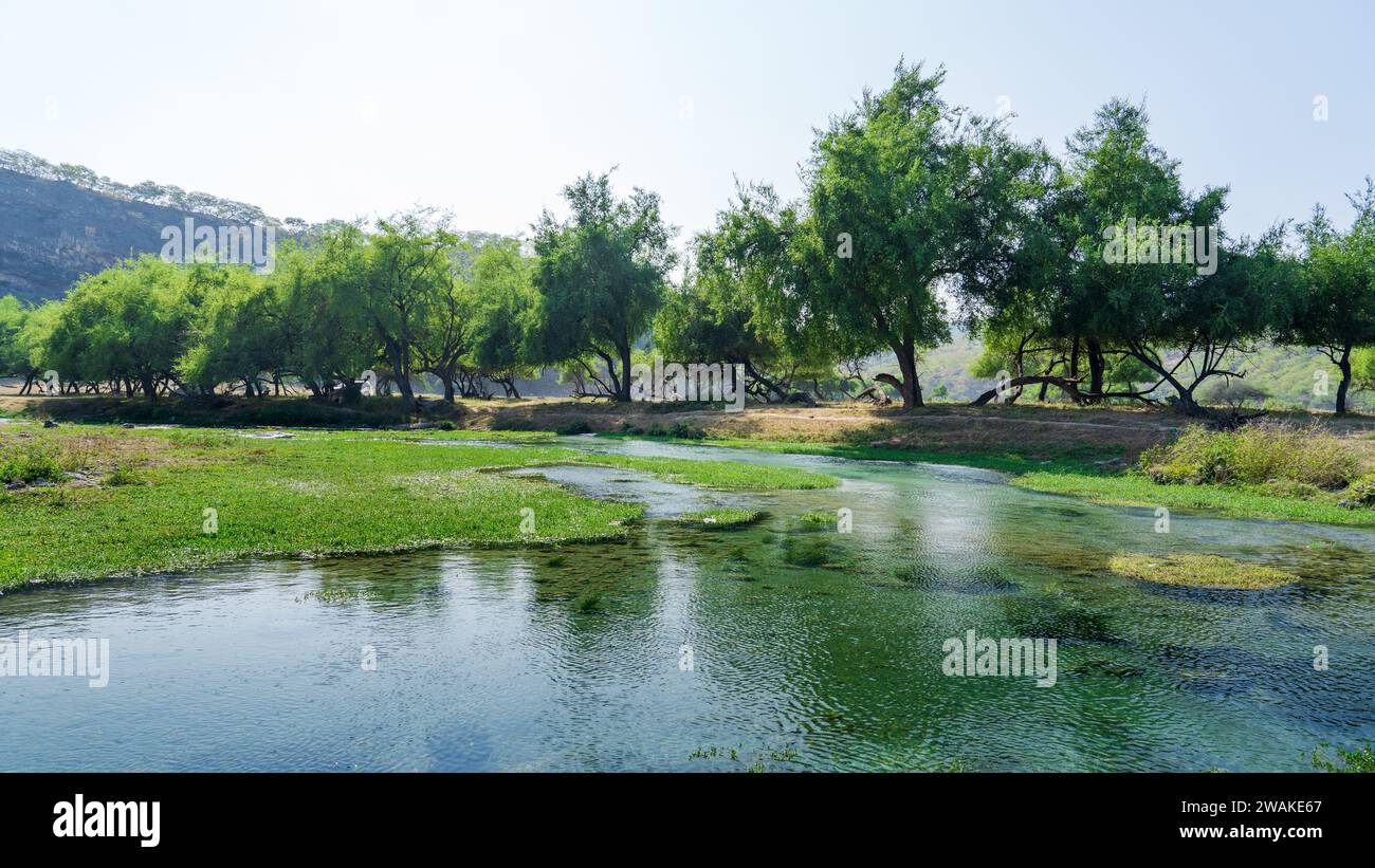 Boating area/River area of Wadi Darbat in the Dhofar region of Oman ...