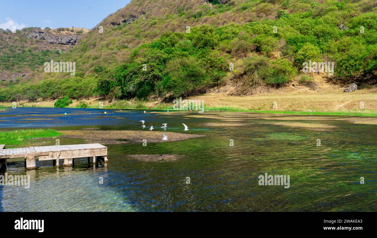 Sohar oman mosque hi-res stock photography and images - Alamy