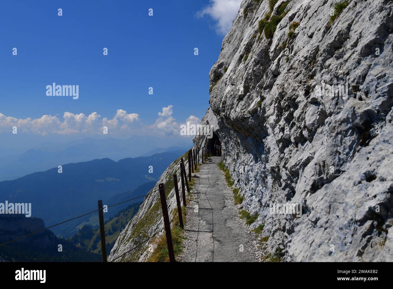 Flower trail a circular walk around Mount Pilatus starting from the ...