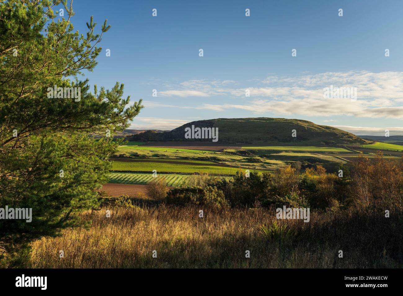 Traprain law hi-res stock photography and images - Alamy