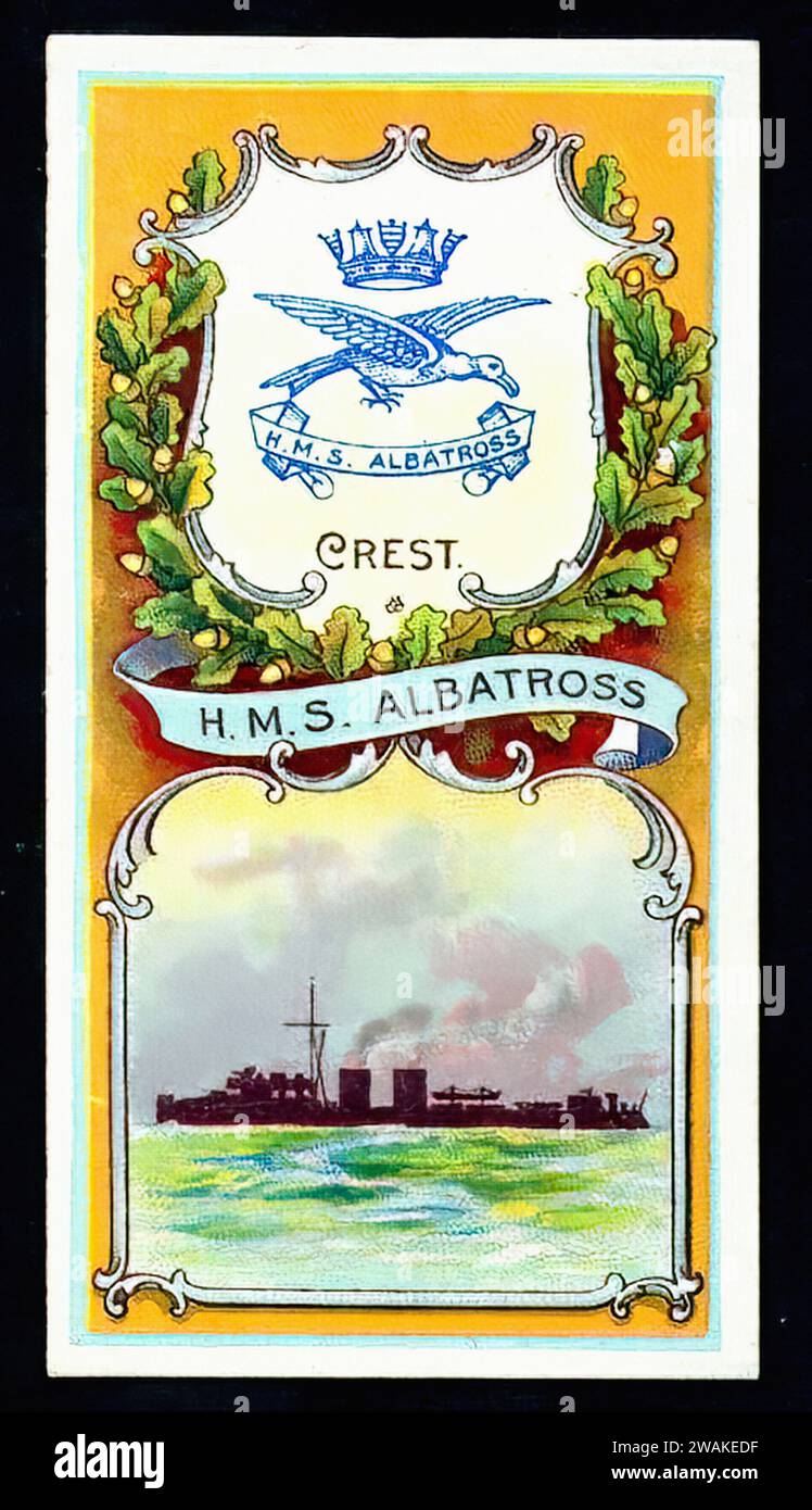 Illustration albatross hi-res stock photography and images - Alamy