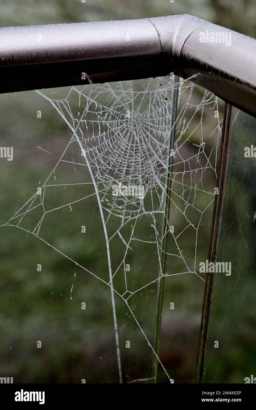 Frosted patterns hi-res stock photography and images - Alamy