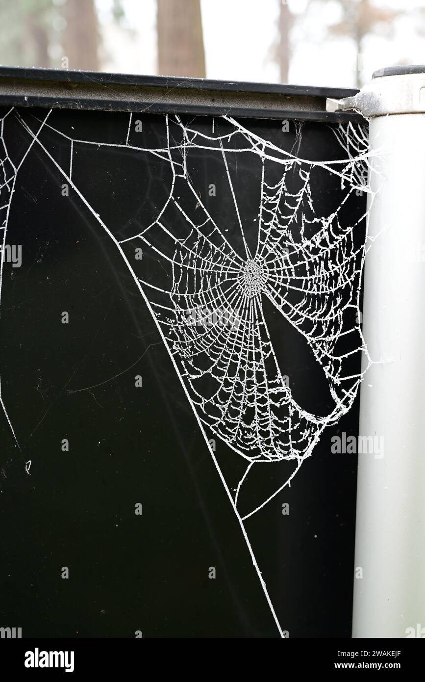 Frosted cobwebs on a roadside sign Stock Photo - Alamy