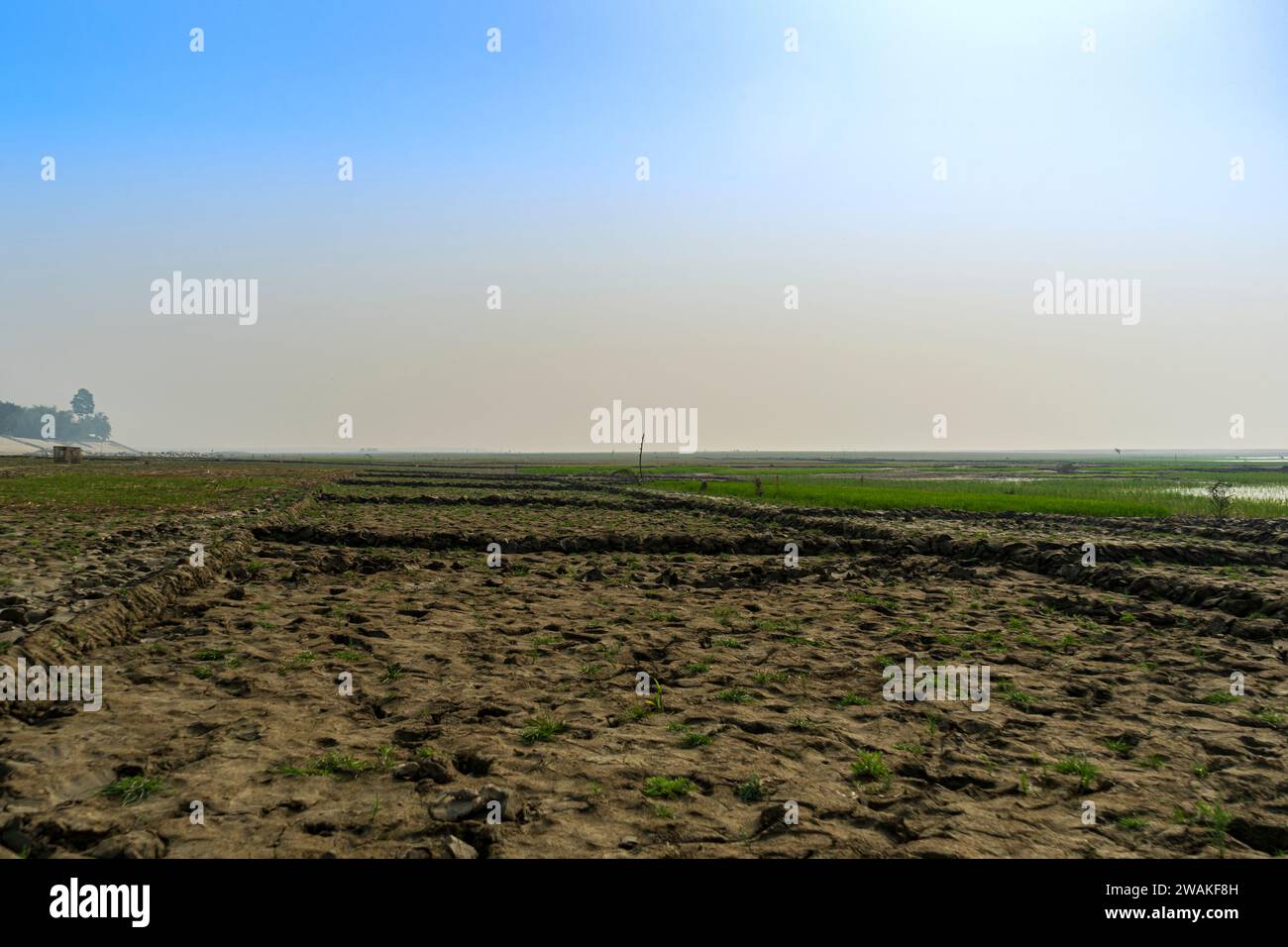 Lakeside planting hi-res stock photography and images - Alamy