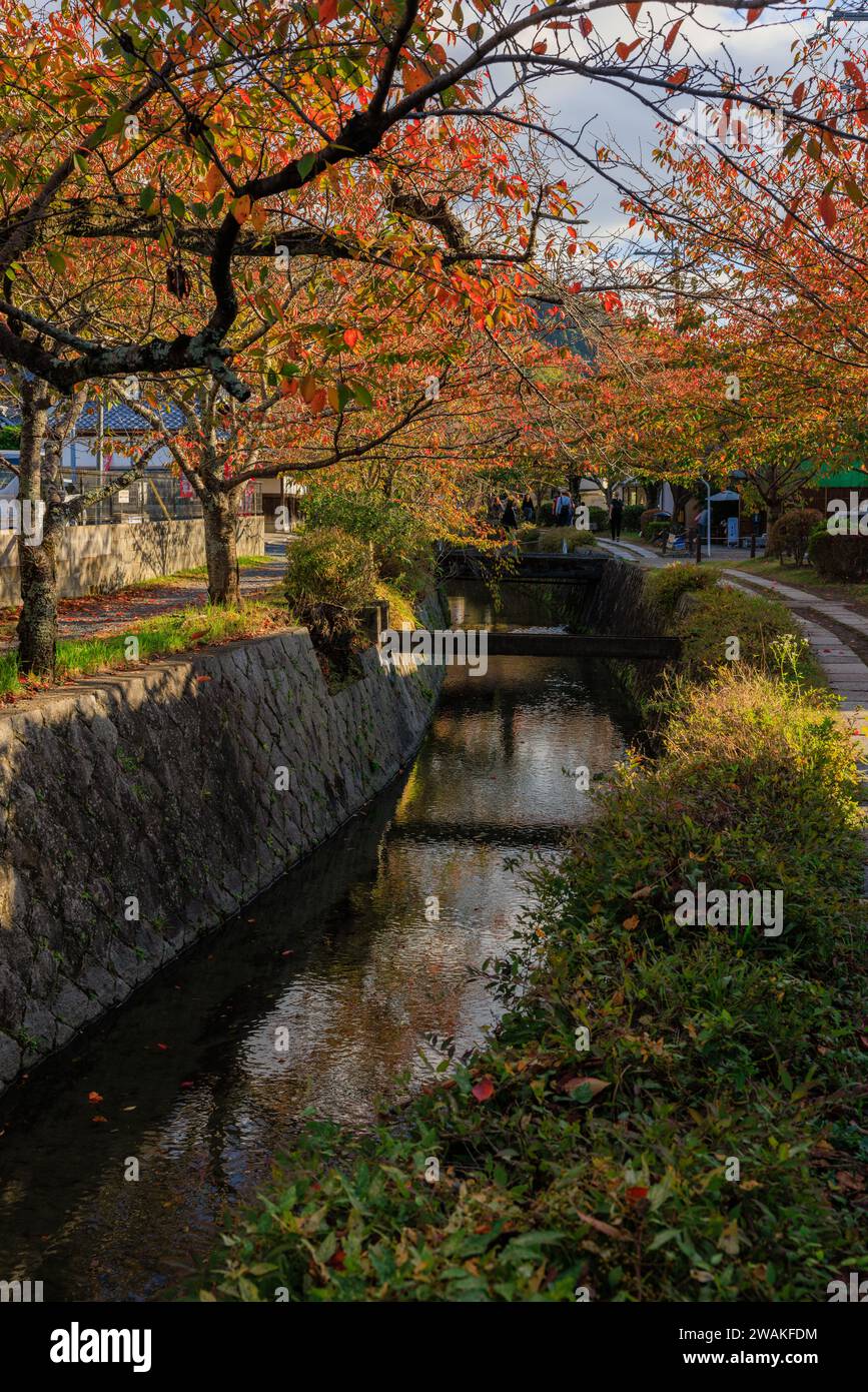 autumn colours and reflection in the waterway of the path of philosophy ...