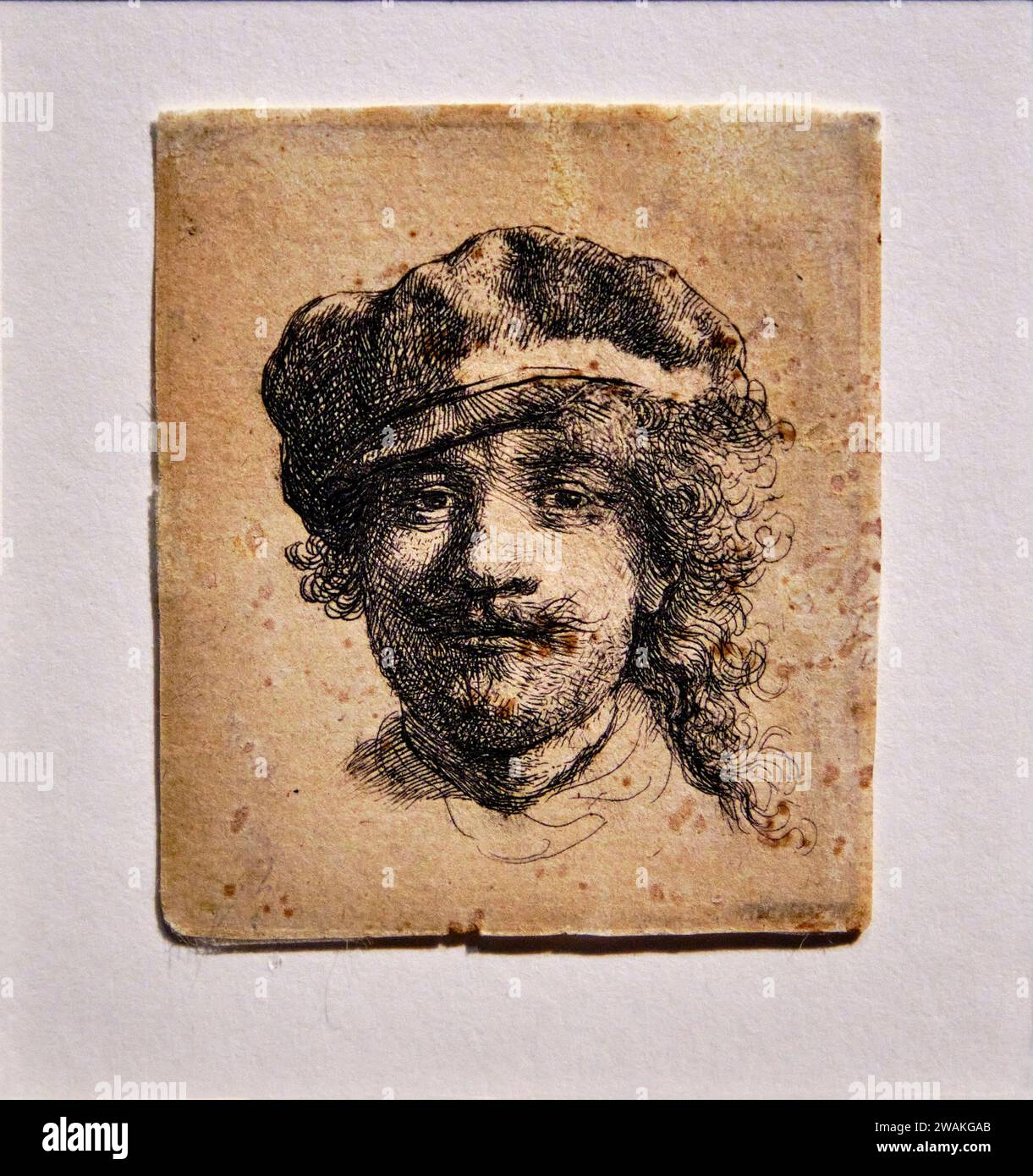 Rembrandt Etchings Exhibition