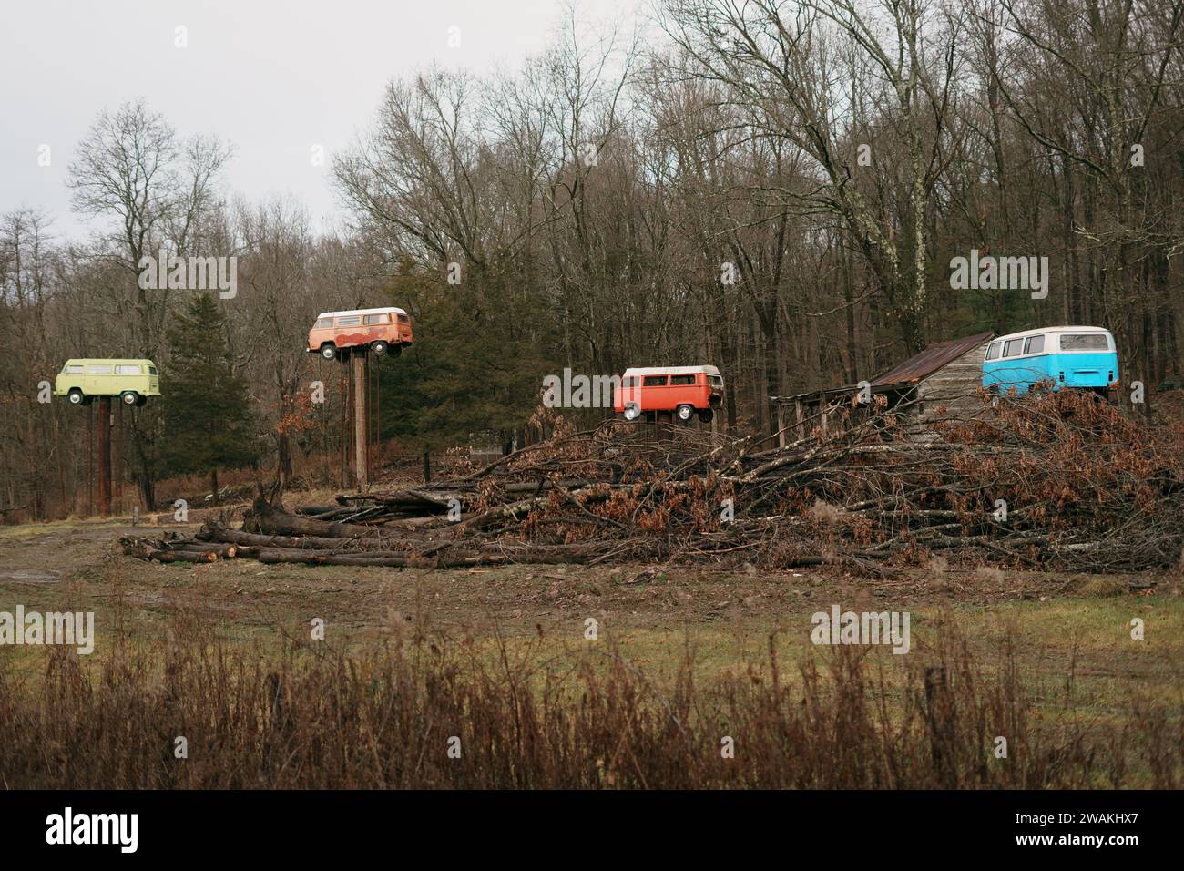 Volkswagen vans in trees, Wallkill, New York Stock Photo - Alamy