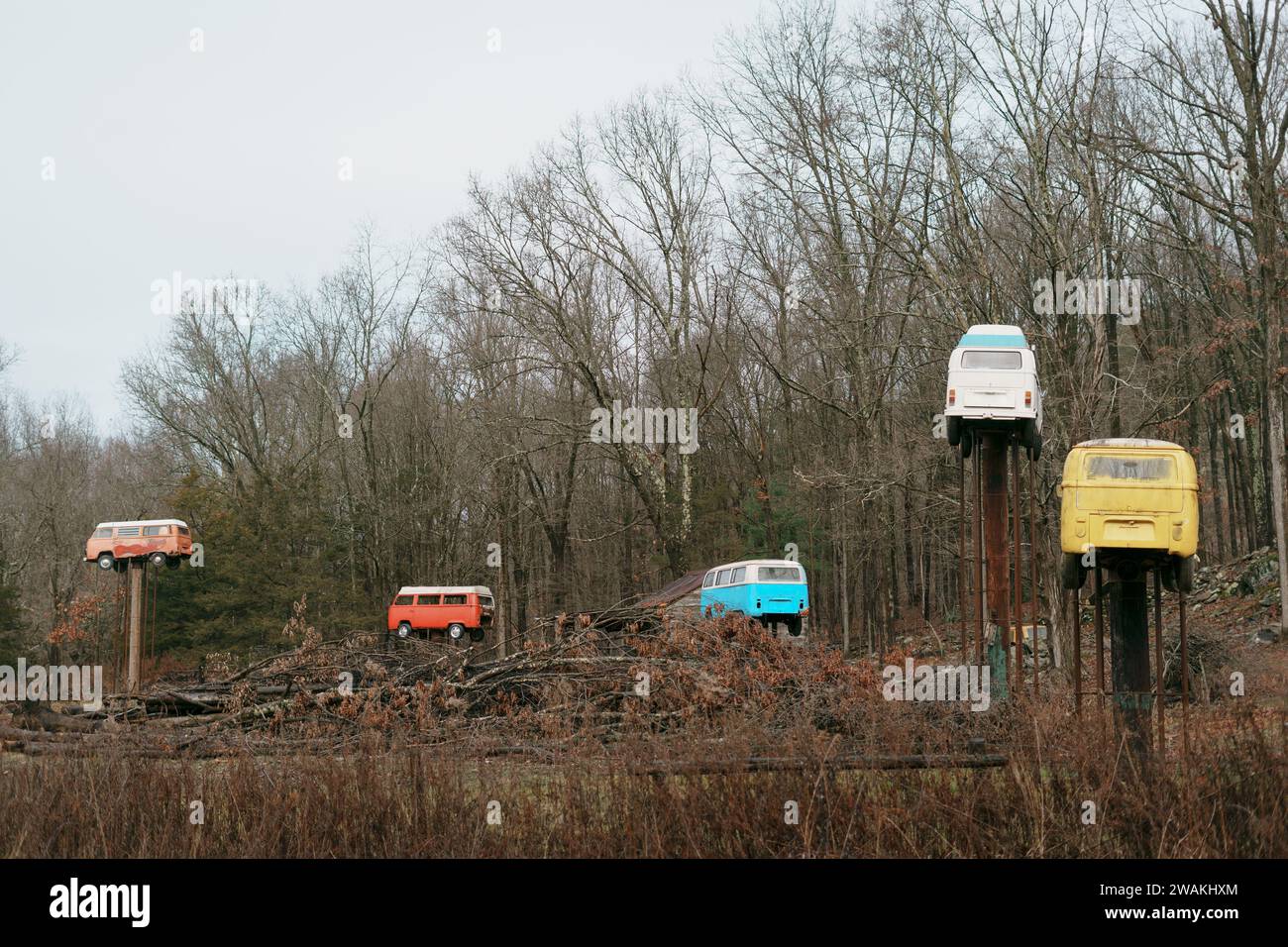 Volkswagen vans in trees, Wallkill, New York Stock Photo - Alamy