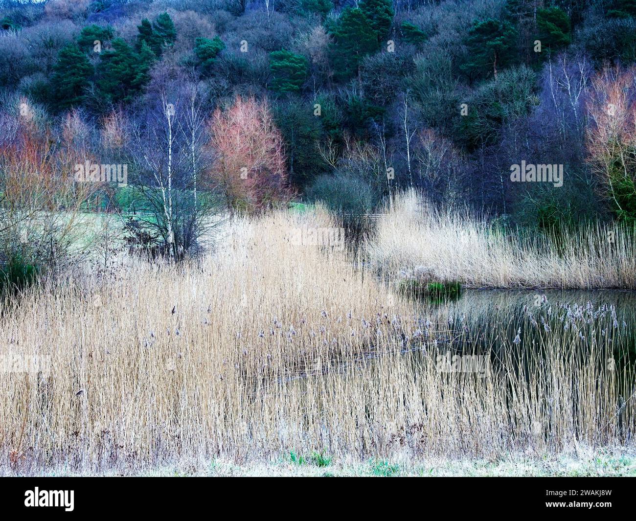 Blaydon bank hi-res stock photography and images - Alamy