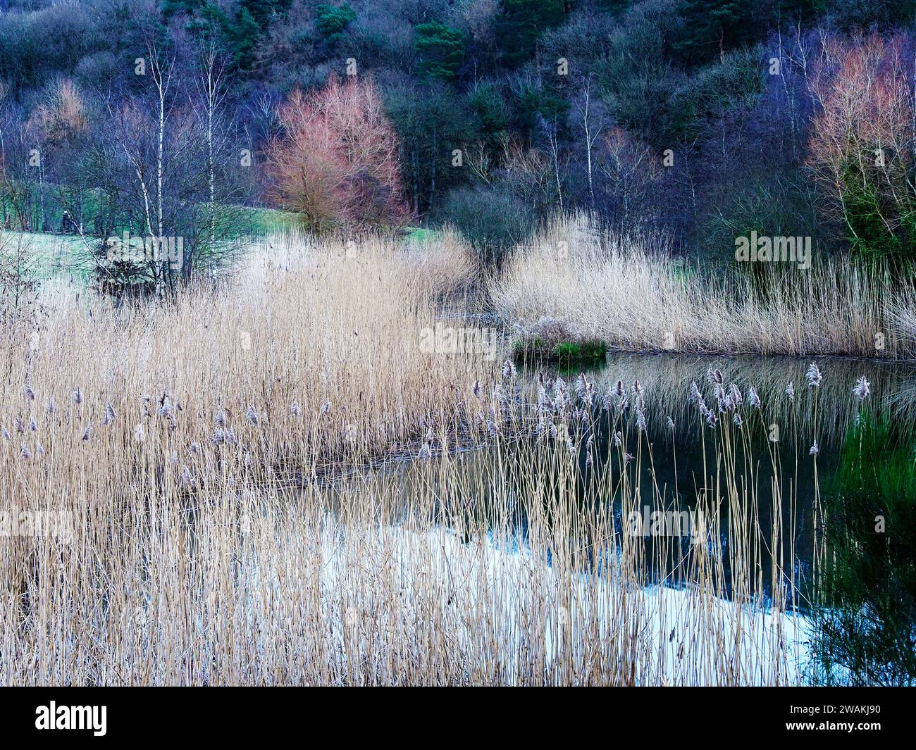Blaydon bank hi-res stock photography and images - Alamy