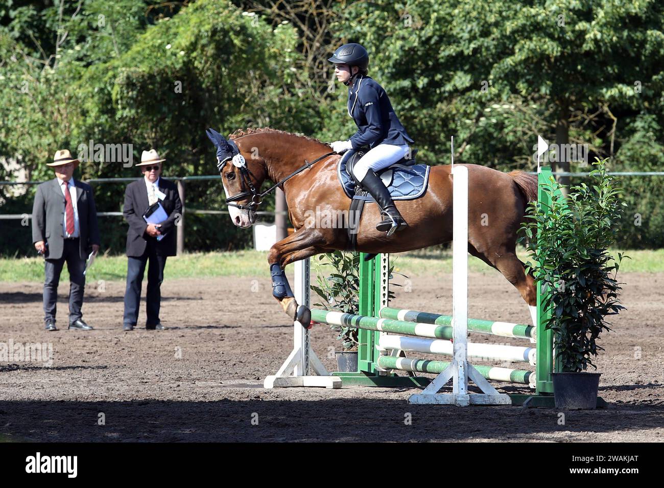 230611d102brieselang hi-res stock photography and images - Alamy
