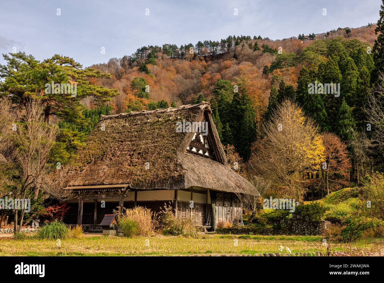 traditional wooden house and barn with thatched roof in gassho praying ...