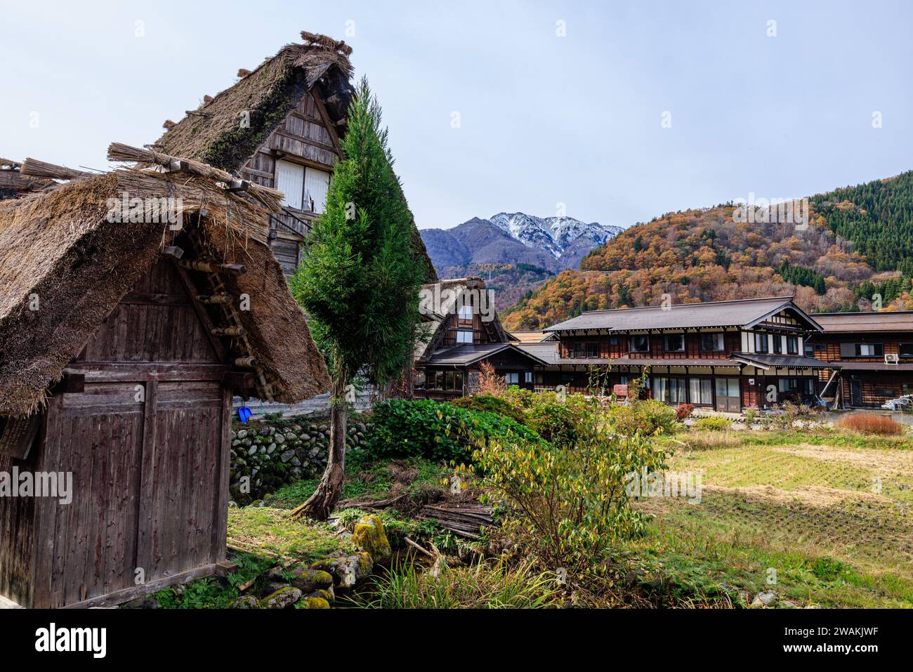 group of traditional wooden gassho praying hands houses in shirakawago ...