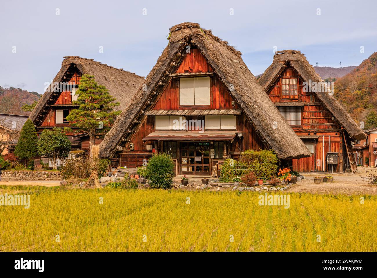 These Thatched Roof Houses In A Rice Field In Japan Cozyplaces