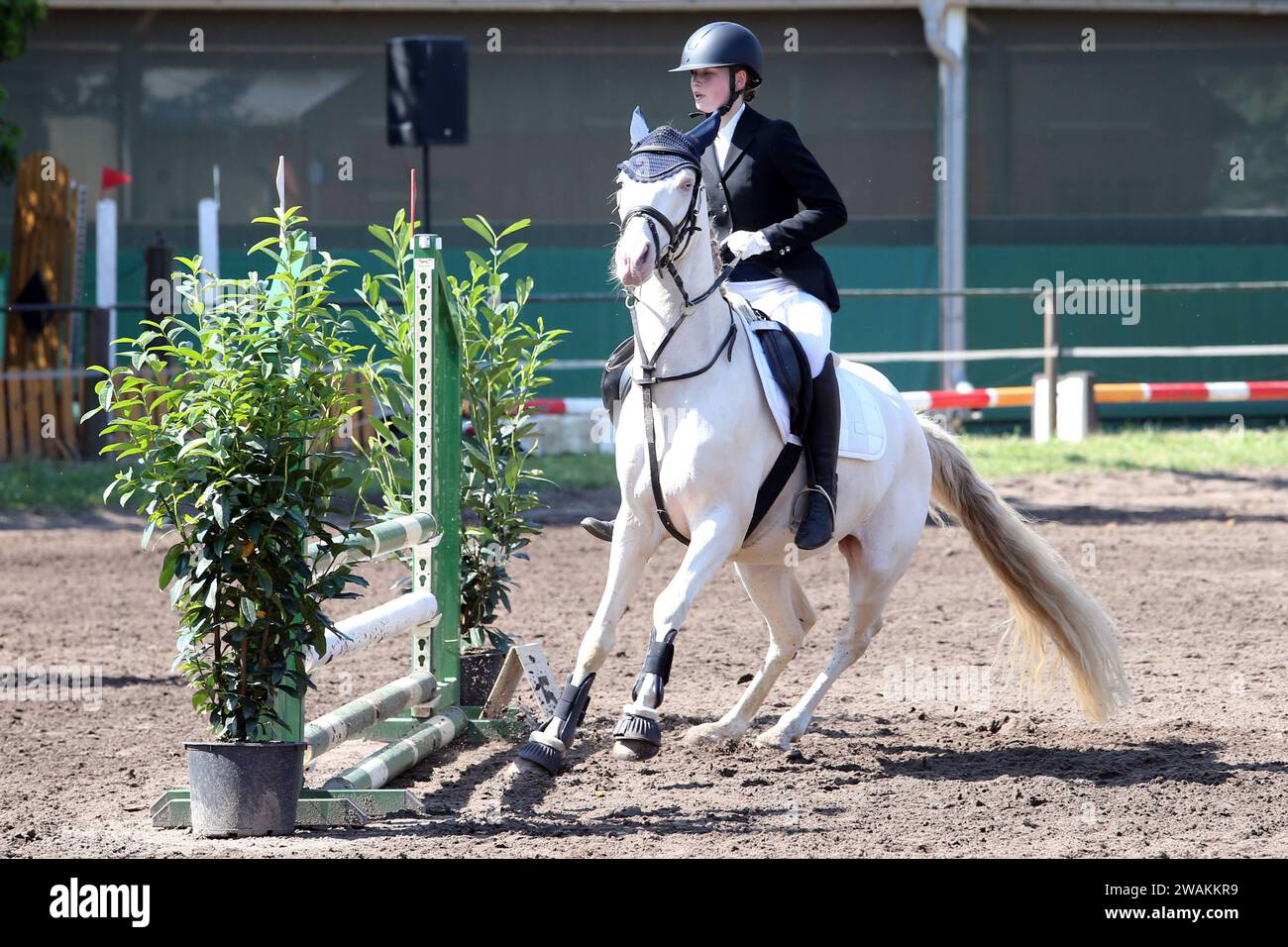 230611d241brieselang hi-res stock photography and images - Alamy