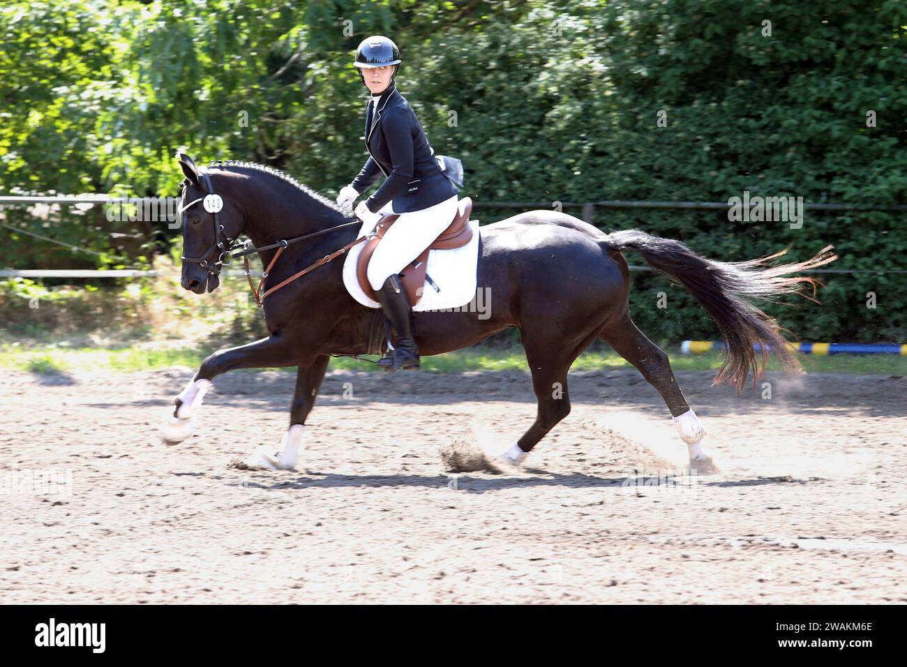 11.06.2023, Brieselang, Brandenburg, GER - Pferd und Reiterin auf einem ...