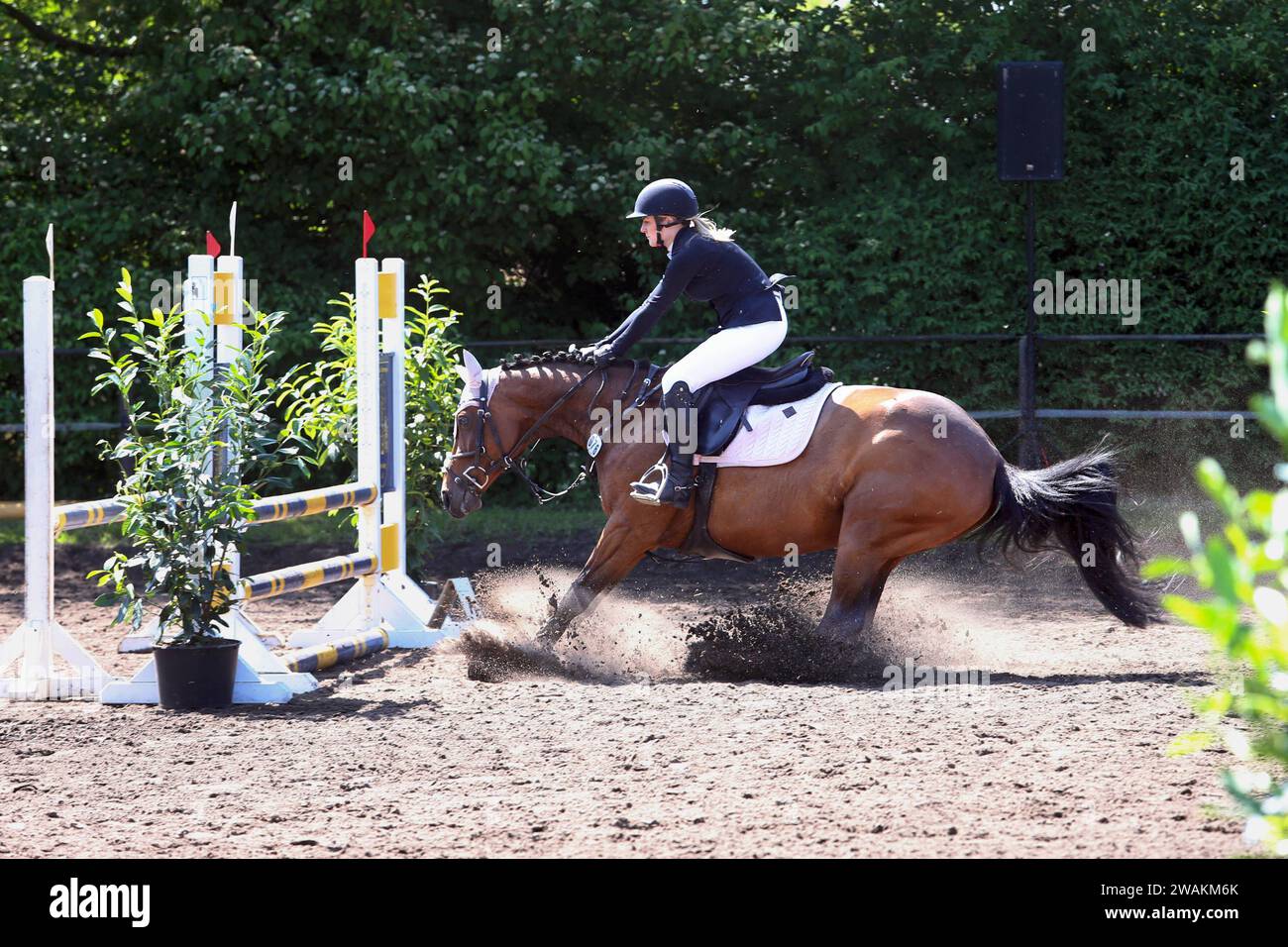 230611d268brieselang hi-res stock photography and images - Alamy