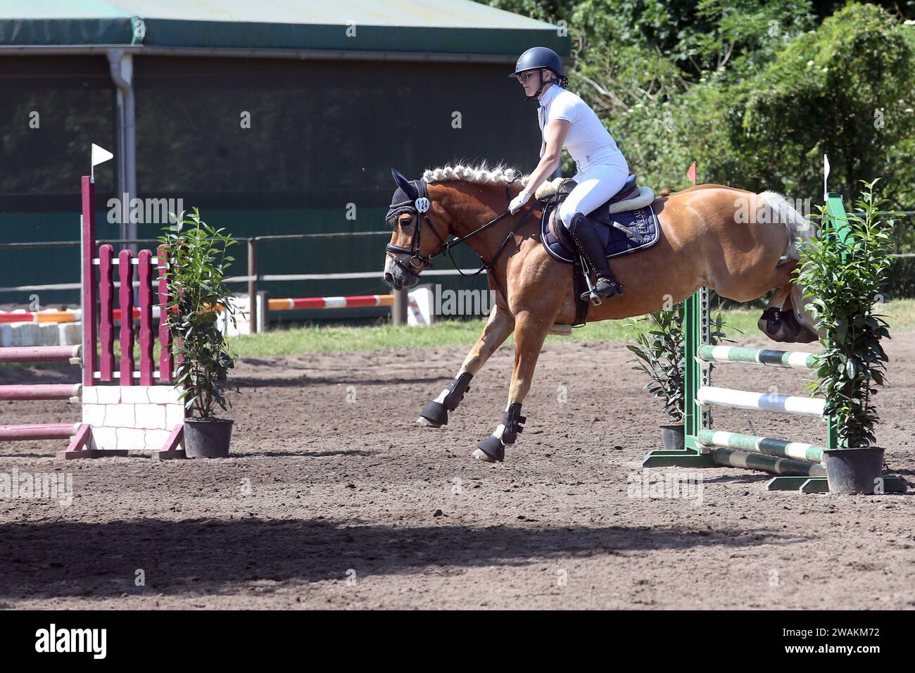 230611d278brieselang hi-res stock photography and images - Alamy