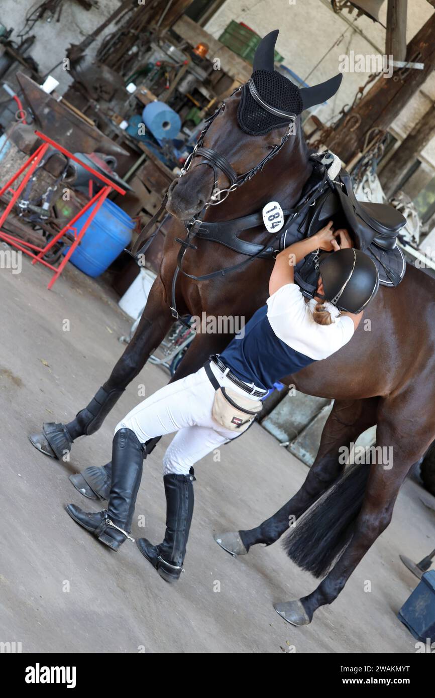 Satteln reiterin hi-res stock photography and images - Alamy