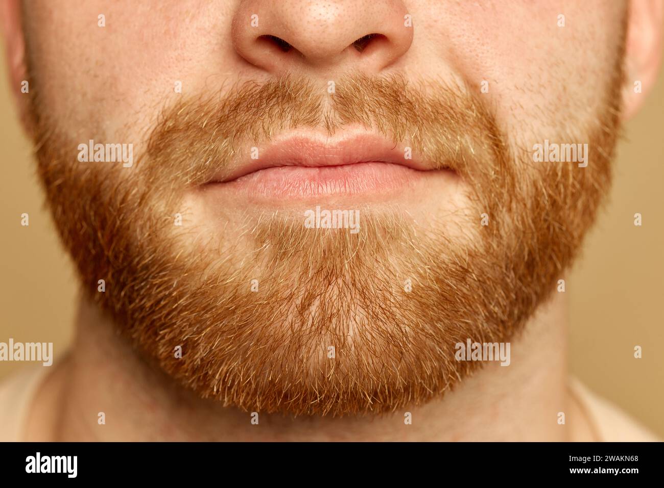 Well kept beard hi-res stock photography and images - Alamy
